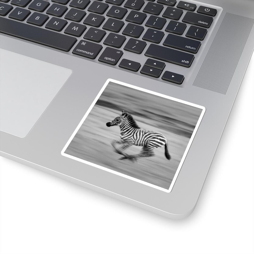 Zebra Kiss-cut Stickers Black and White Animal Print Decals, Safari ...