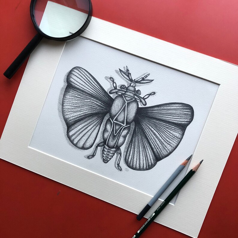 Twisted Wing Insect - Etsy
