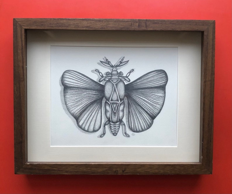 Twisted Wing Insect - Etsy