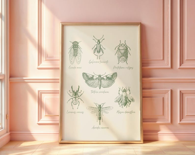 Vintage Insect Print, Entomology Wall Art, Retro Home Decor (digital ...