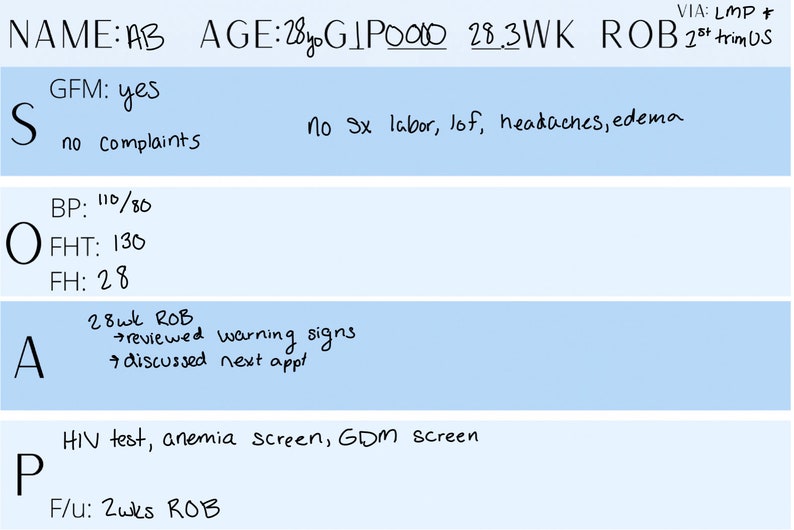 Clinical Note Outline - Etsy