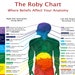 Roby Chart Bundle Includes 11x17 Poster and Body Wisdom Cards - Etsy