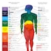 The Roby Chart© 11x17 Poster Showing Where Beliefs Affect Your Anatomy ...