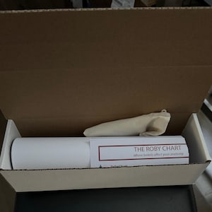 Roby Chart Bundle Includes 11x17 Poster and Body Wisdom Cards - Etsy