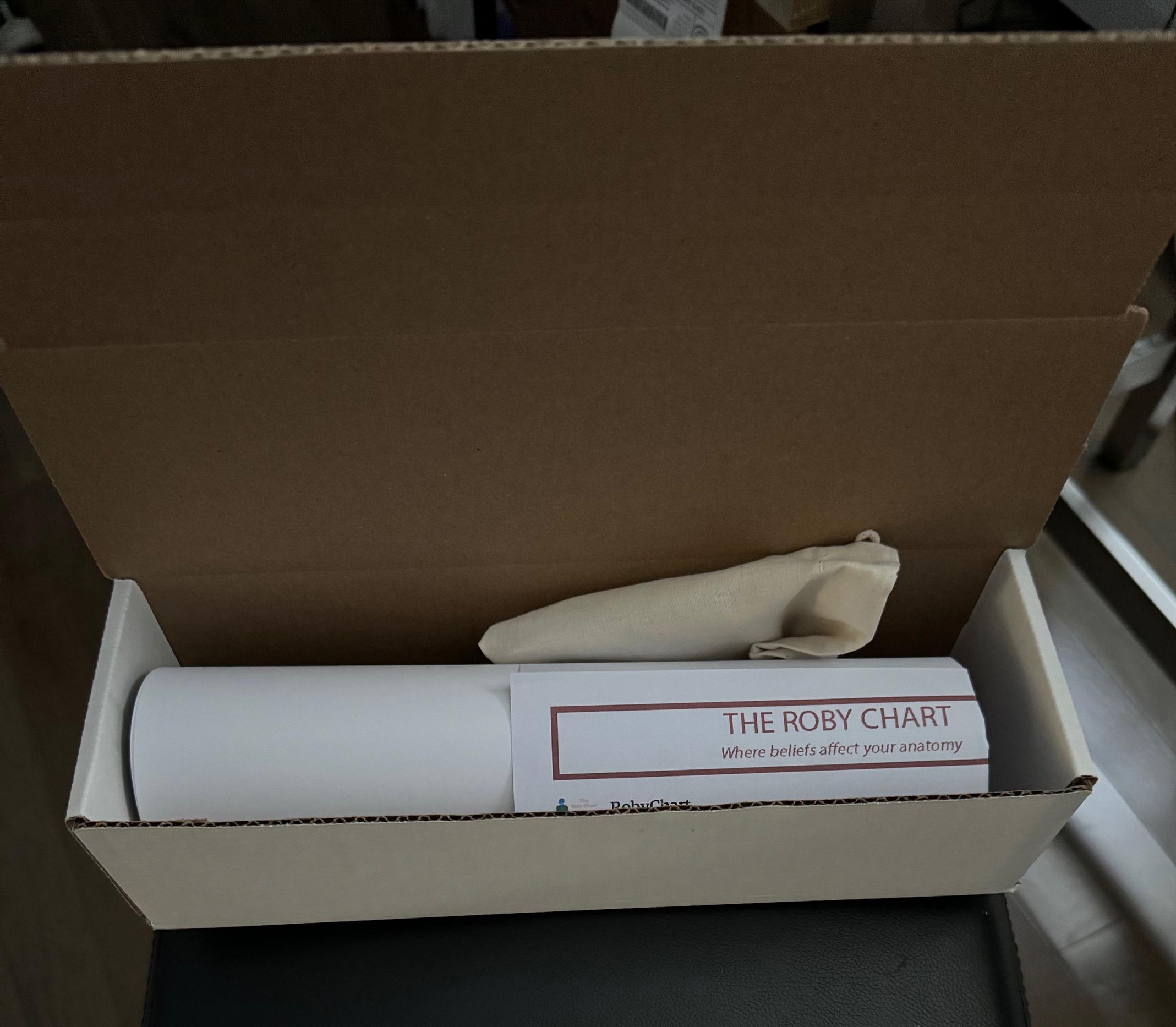 Roby Chart Bundle Includes 11x17 Poster and Body Wisdom Cards - Etsy