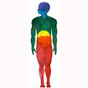 Roby Chart Bundle Includes 11x17 Poster and Body Wisdom Cards - Etsy