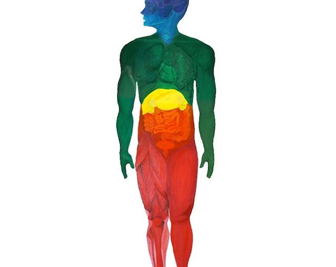 The Roby Chart© 11x17 Poster Showing Where Beliefs Affect Your Anatomy ...