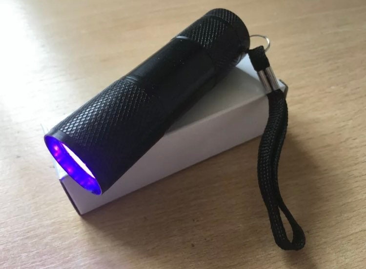 Detección Gérmenes En Vector De Mano Humana | Vector Gratis Linterna UV