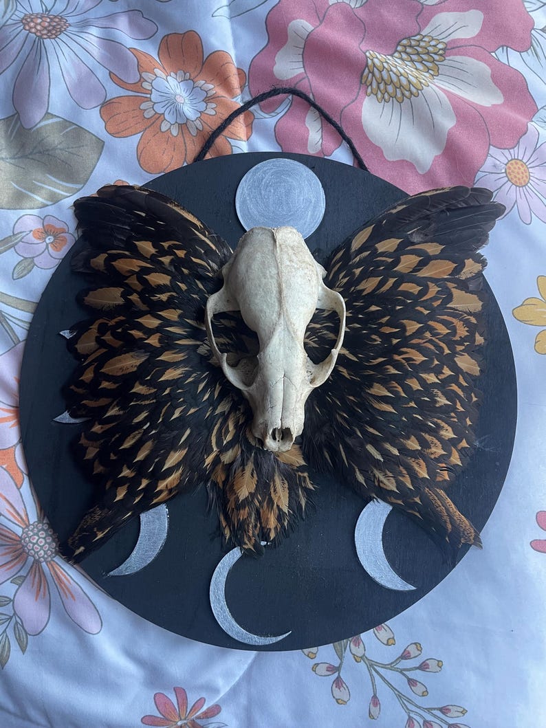 Moon Phase Wing Skull Wall Hanger - Etsy
