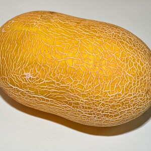 RARE Hami Melon Seeds | Chinese Cantaloupe 哈密瓜 | Super Sweet Golden ...