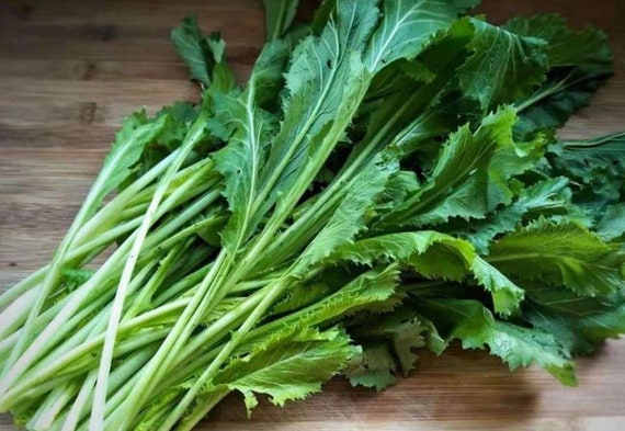 Tipos De Hojas De Mostaza La Mostaza Es Una Planta Anual Que Se