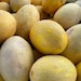 RARE Hami Melon Seeds | Chinese Cantaloupe 哈密瓜 | Super Sweet Golden ...
