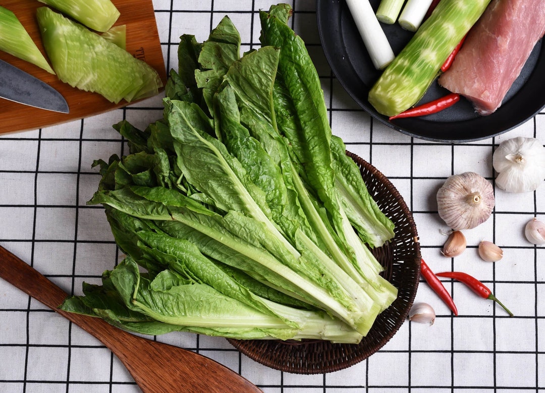 Taiwanese Sword Lettuce Seeds | A菜 A-choy AA Choy | A Tsai | 油麦菜 | 50 ...