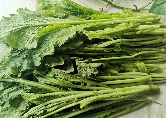 Tipos De Hojas De Mostaza La Mostaza Es Una Planta Anual Que Se