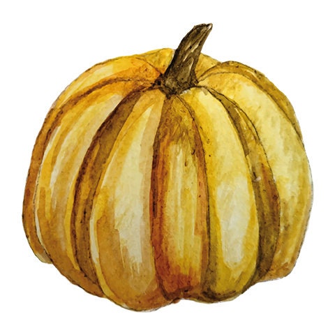 Set of 4 Watercolor Clipart Pumpkins in Different Colors - Etsy