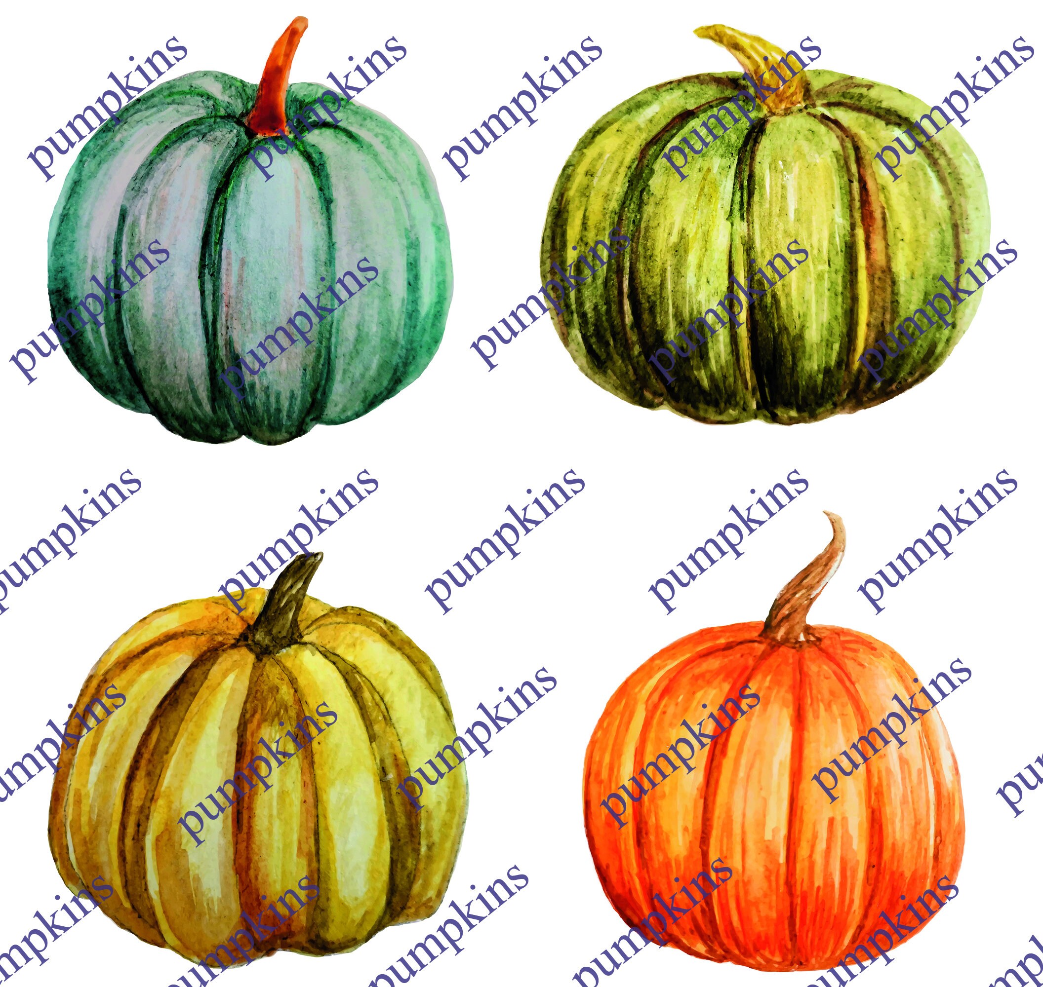 Set of 4 Watercolor Clipart Pumpkins in Different Colors - Etsy
