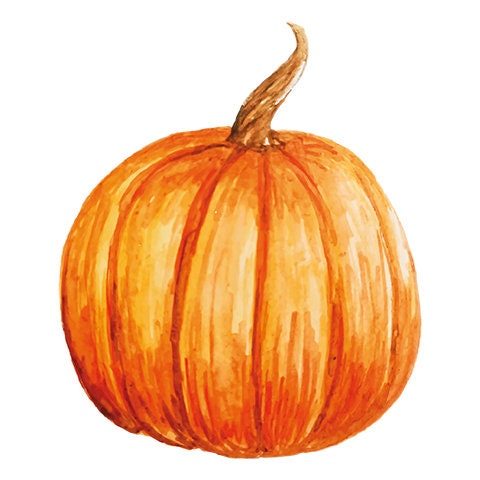 Set of 4 Watercolor Clipart Pumpkins in Different Colors - Etsy
