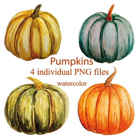 Set of 4 Watercolor Clipart Pumpkins in Different Colors - Etsy