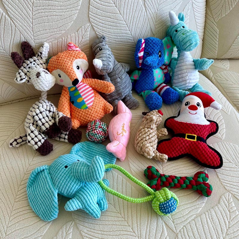 Toy Box for My Dog - Etsy