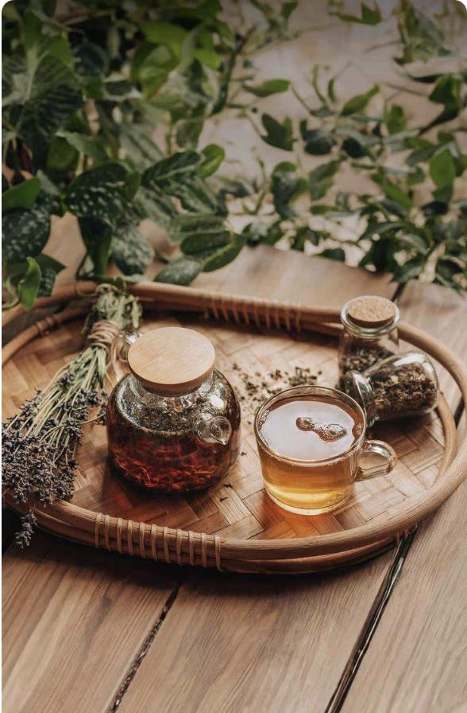 Japanese Genmaicha Tea – Nutty Roasted Rice Green Tea, Smooth & Toasty ...