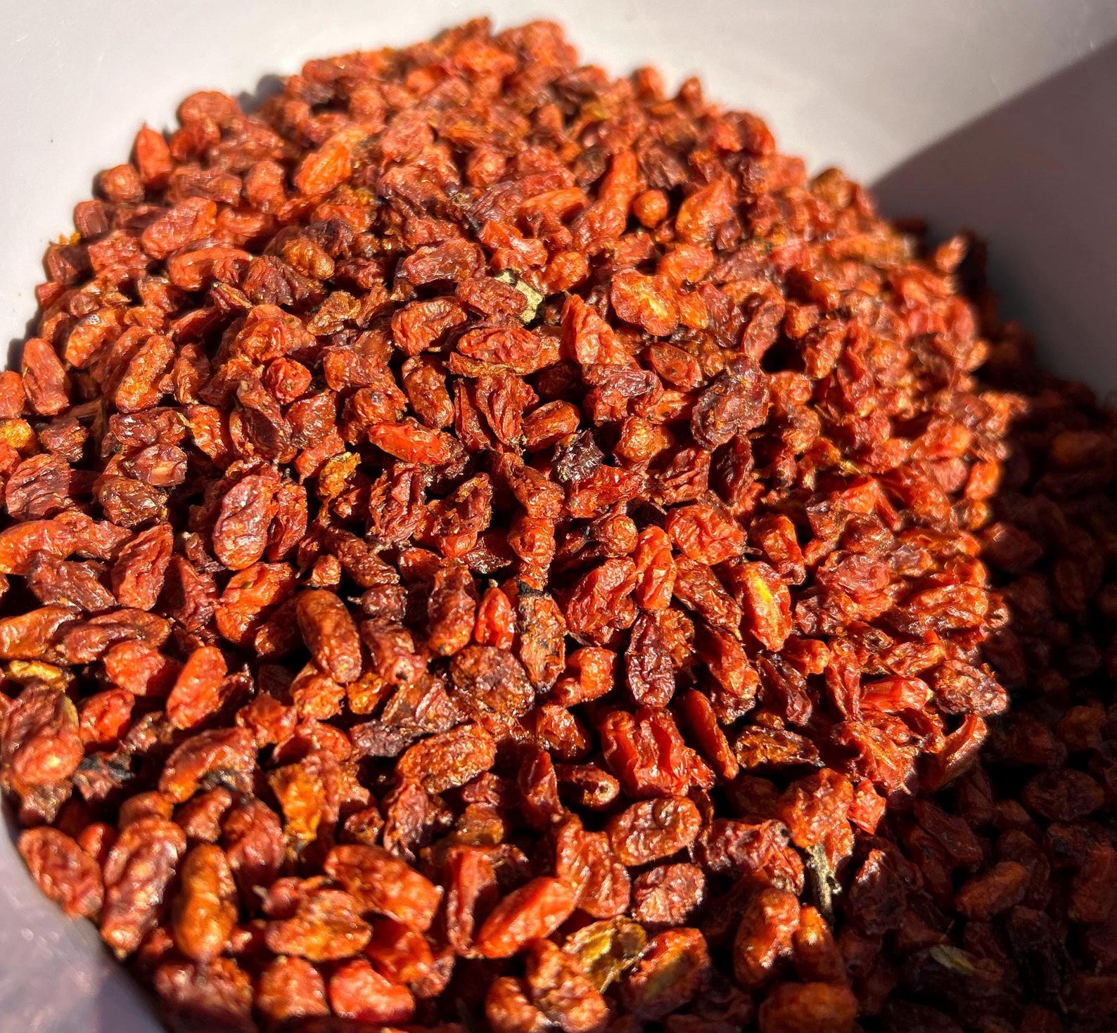 Organic Dried Sea Buckthorn Berries: Natural Herbal Superfood - Etsy