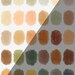 Welcome Home Procreate Color Palette: 30 Fall Swatches (digital ...
