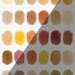 Harvest Season Procreate Color Palette: 30 Autumn Swatches (digital ...