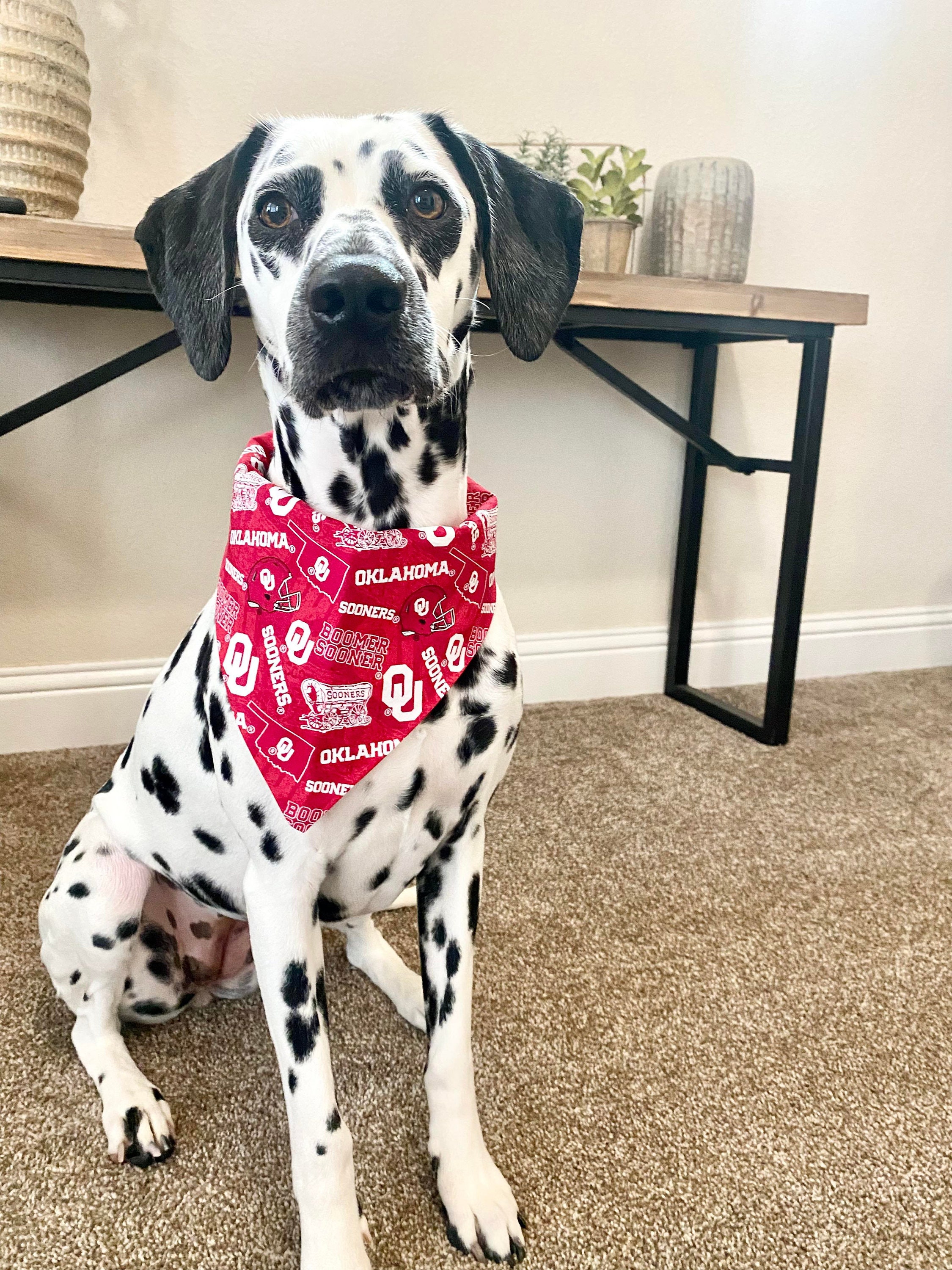 Oklahoma Boomer Sooner Reversible Dog Bandana - Etsy