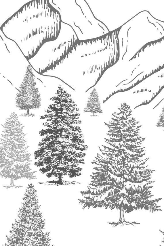 Pine Tree Forest Coloring Sheets