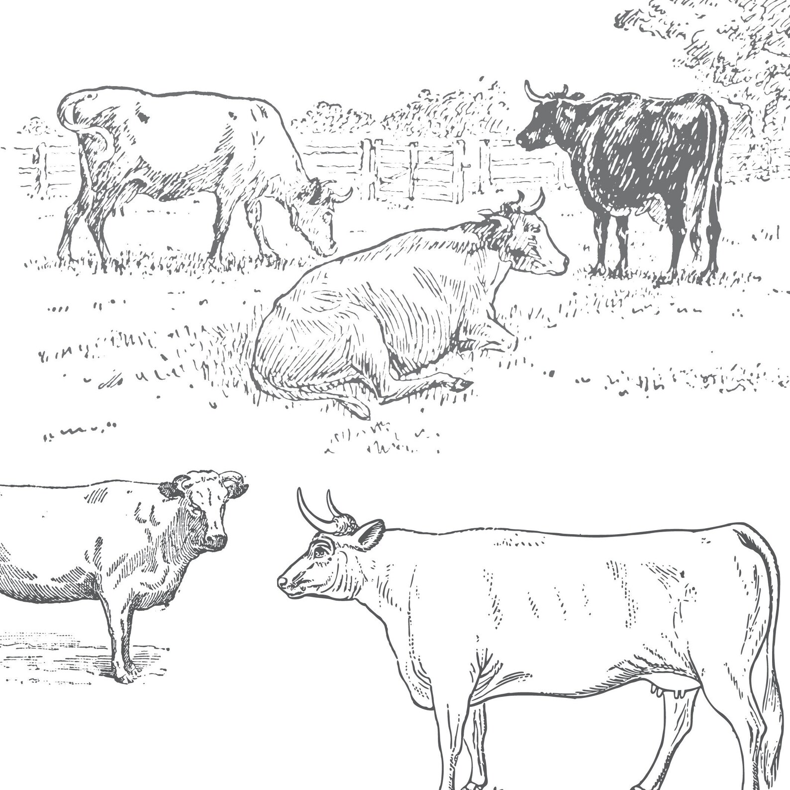 13 Nature Inspired Coloring Pages for All Ages - Etsy