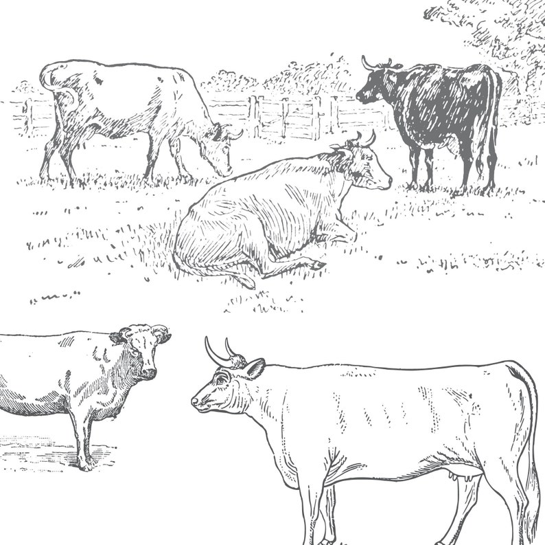 13 Nature Inspired Coloring Pages for All Ages - Etsy