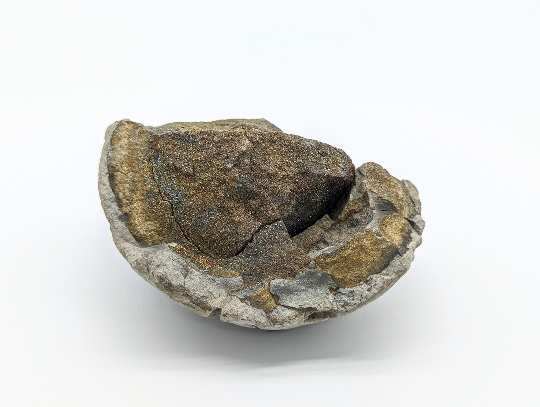 Pyrite Nodule Iridescent Rainbow Septarian Concretion - Etsy