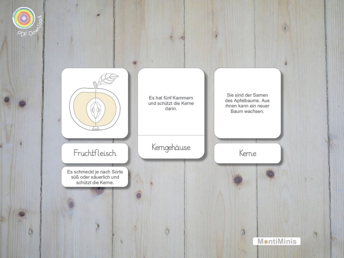 Parts of the Apple Nomenclature and Fact Card Template - Etsy Canada