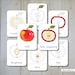 Parts of the Apple - Nomenclature and Fact Card Template - Exempt From ...