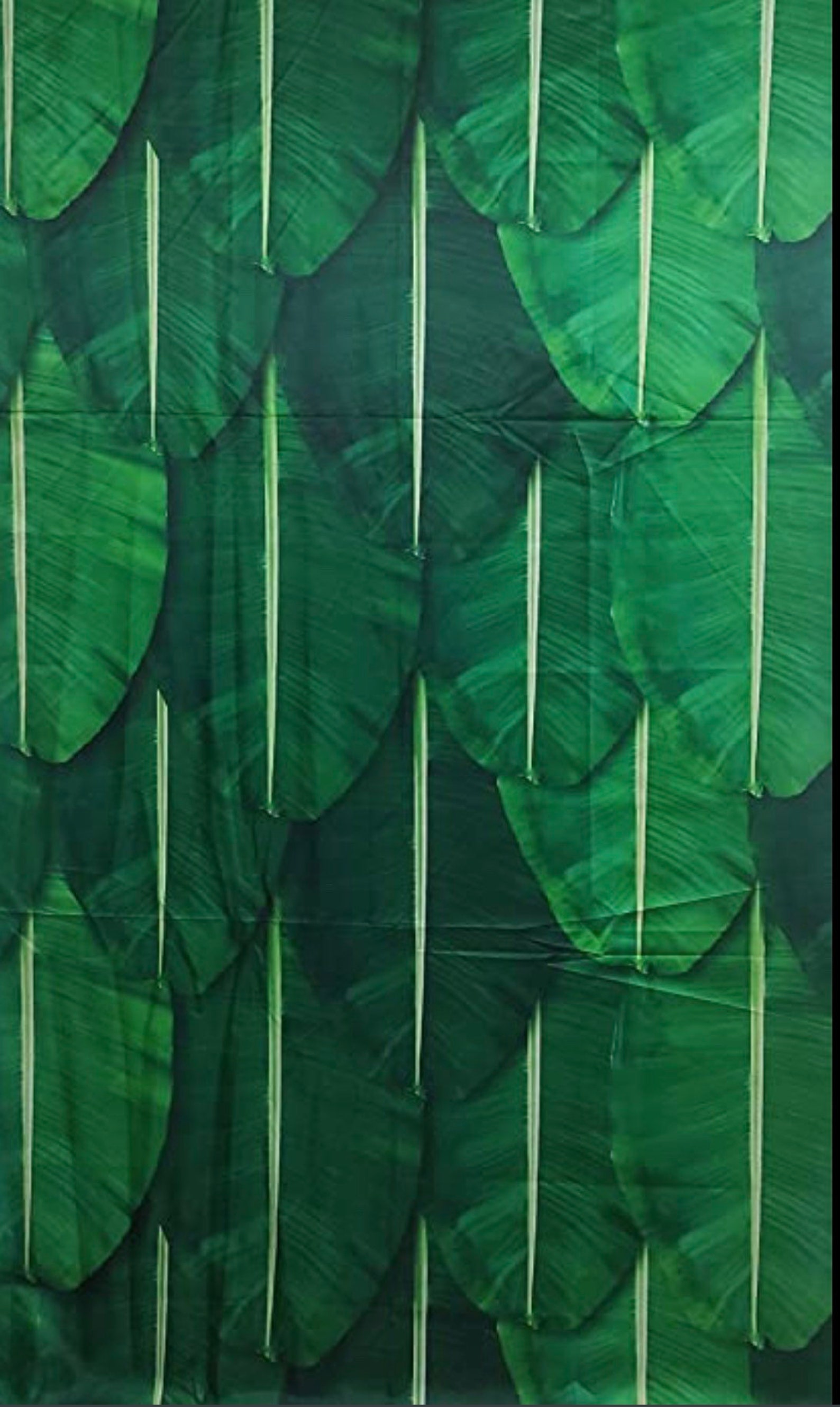 Banana Leaves Backdrop for Puja / Wedding / House Warming Decoration - Etsy