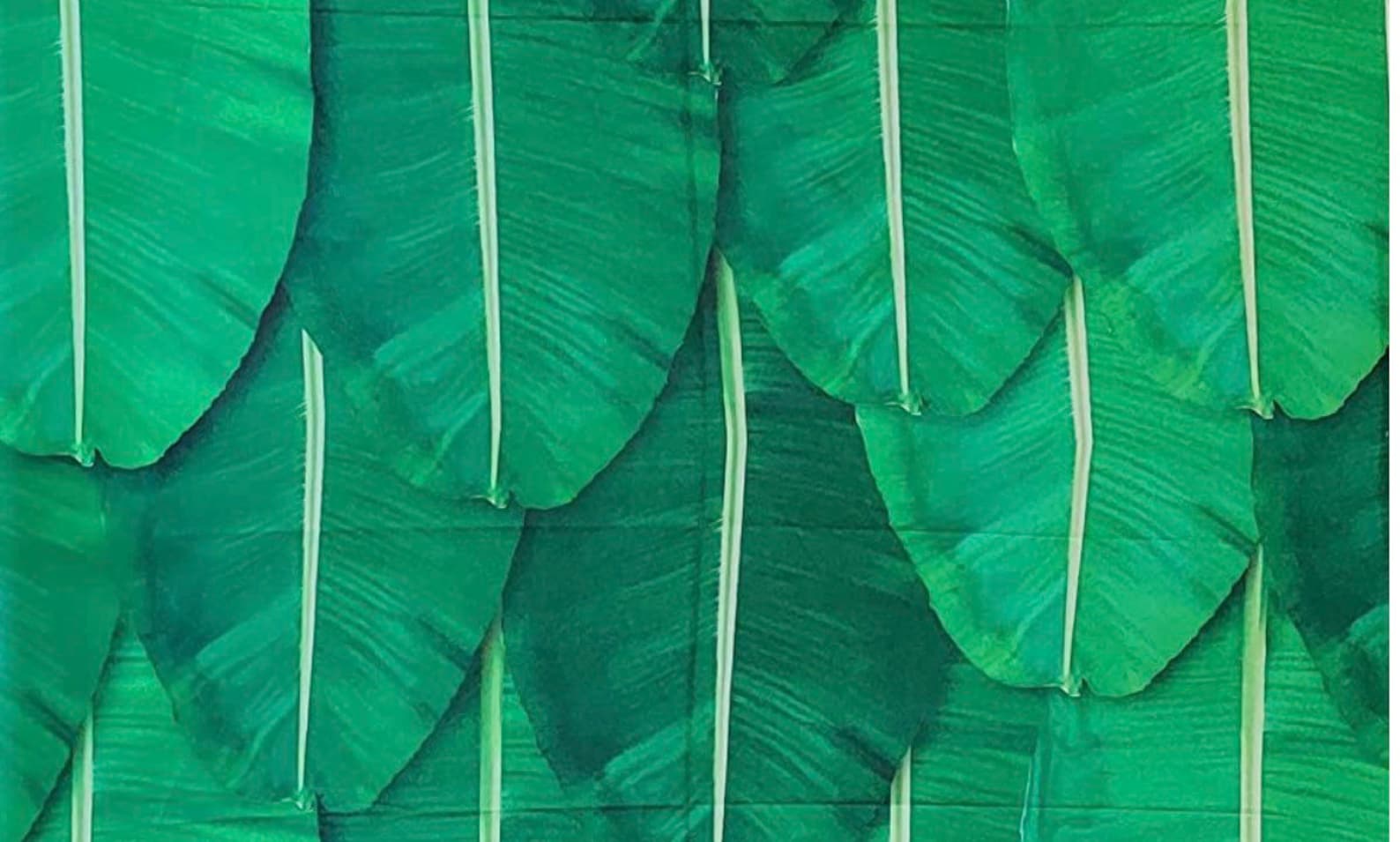 Banana Leaves Backdrop for Puja / Wedding / House Warming - Etsy