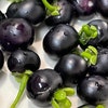Wonderberry Rare Seeds solanum Burbankii Sunberry Blackberry, Unique ...