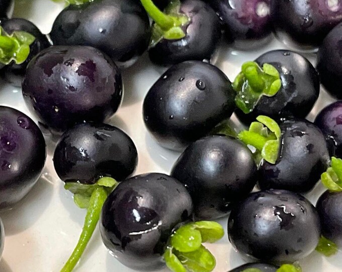 Garden Huckleberry Rare Seeds (solanum Melanocerasum), 'german ...