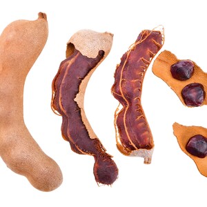 Sweet Tamarind 20 Exotic Fruit Seeds Tamarindus Indica Tangy Tasty ...