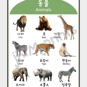 3 Files Jungle Animals Korean Poster, Jungle Animals Hangul Poster ...
