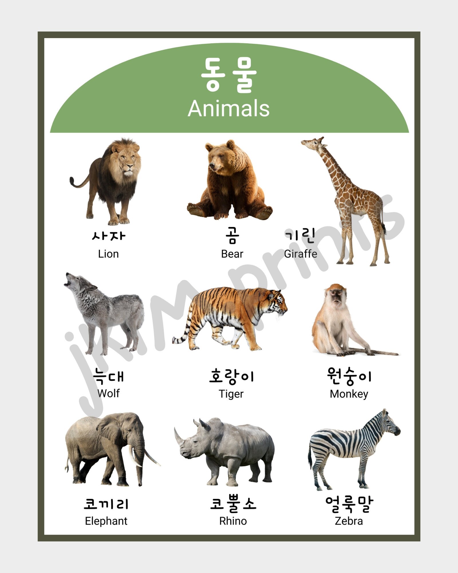 3 Files Jungle Animals Korean Poster, Jungle Animals Hangul Poster ...