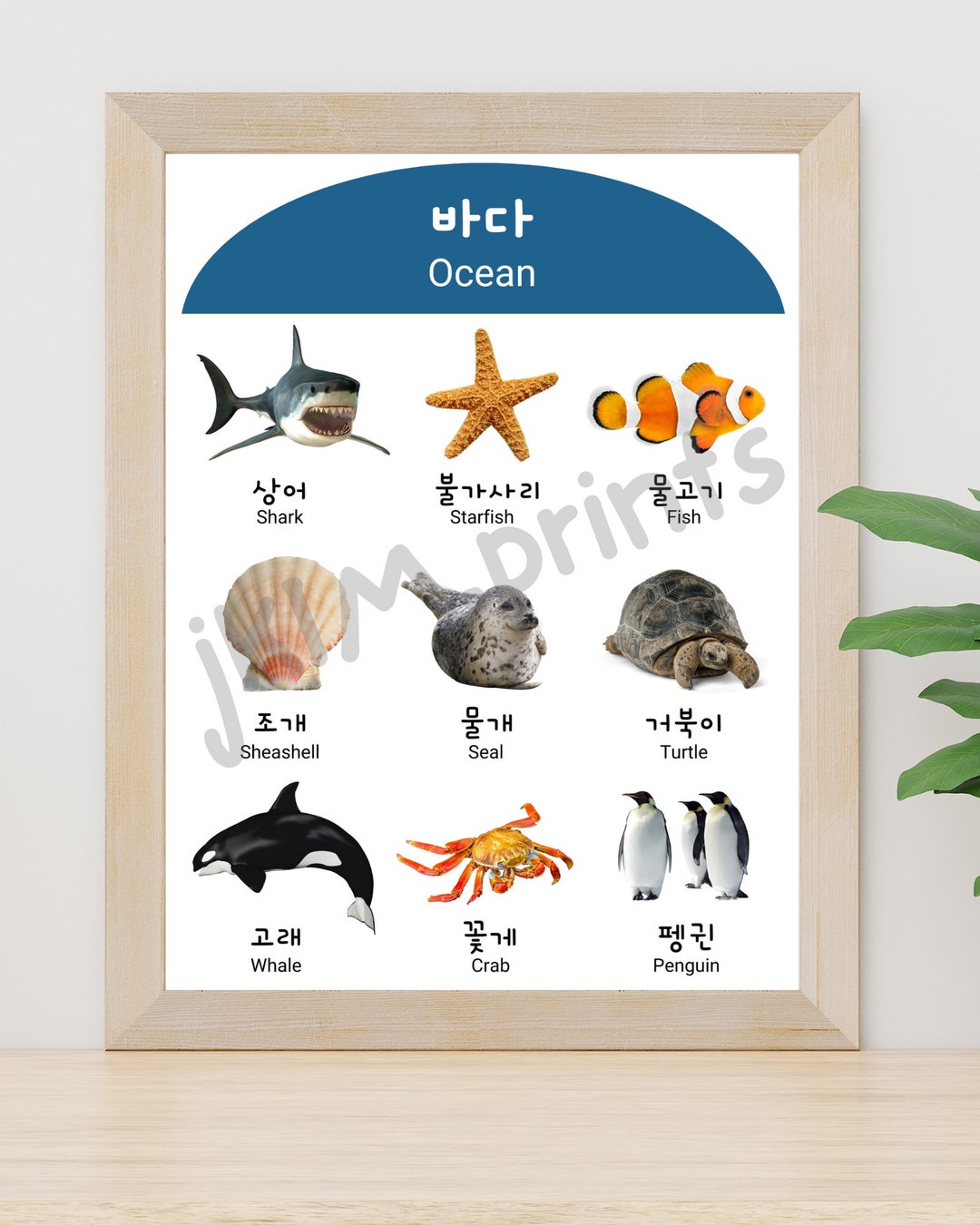 3 Files Real Ocean Animals Korean Poster, Ocean Animals Hangul Poster ...
