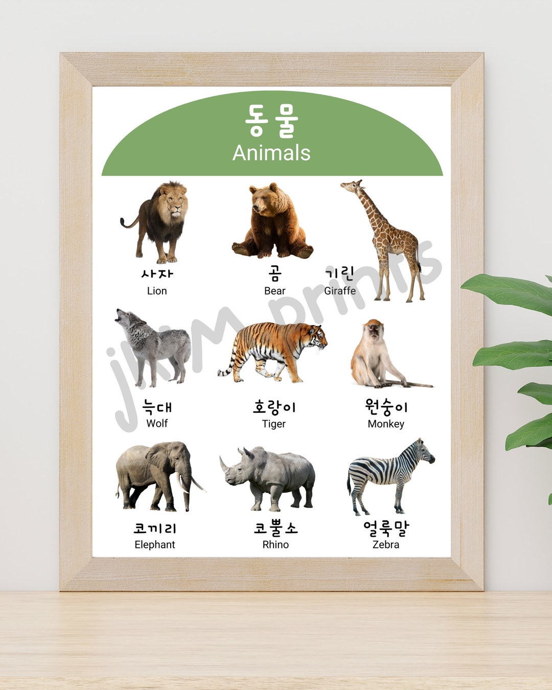 3 Files Jungle Animals Korean Poster, Jungle Animals Hangul Poster ...