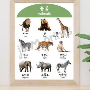 3 Files Jungle Animals Korean Poster, Jungle Animals Hangul Poster ...