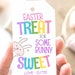 Easter Treat Tags, Printable Easter Bunny Treats Bag Tag, Kids Easter ...