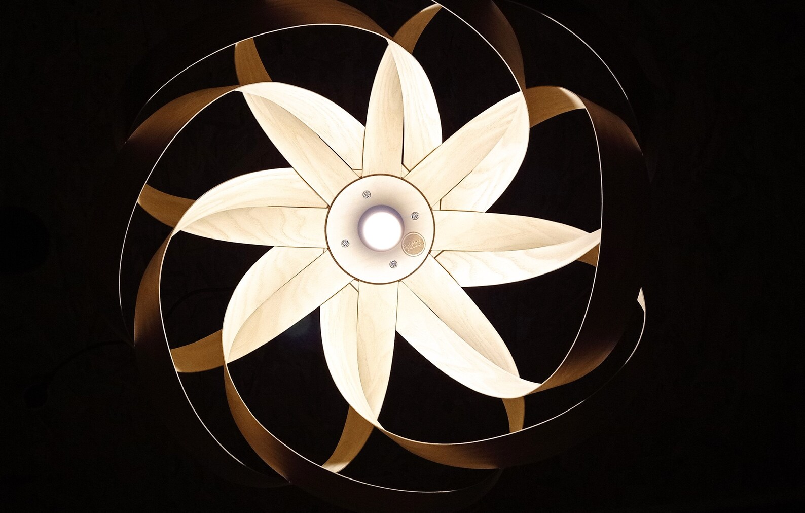 Steam Bend Natural Ash Wood Pendant Lamp Veneer Lamp Ceiling - Etsy