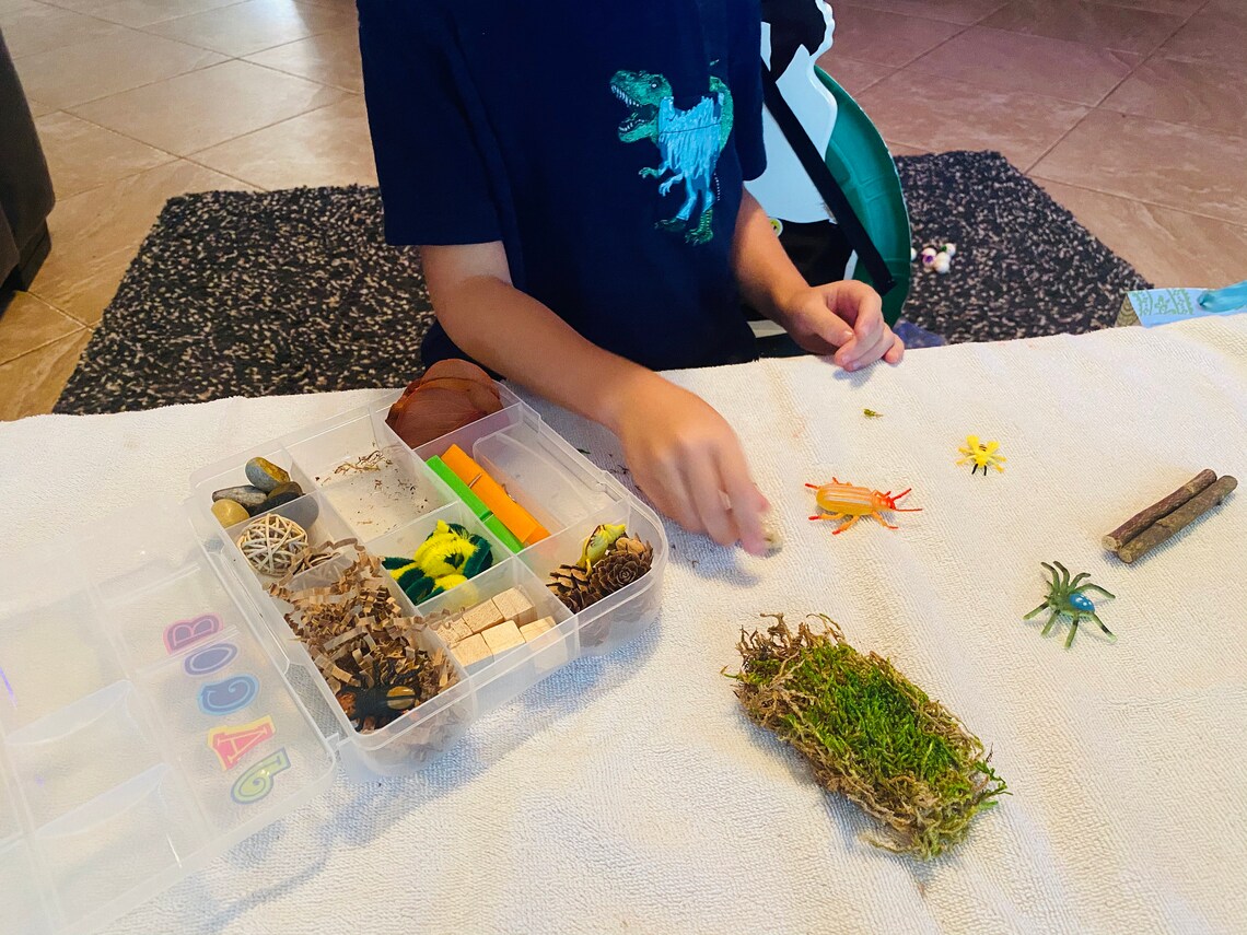 Insects Theme Sensory Box/bugs Buzzy Box/ Natural Explore Sensory Box ...