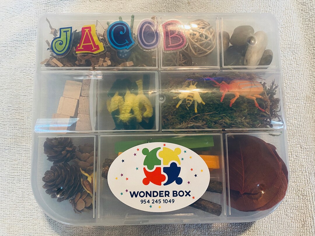 Insects Theme Sensory Box/bugs Buzzy Box/ Natural Explore Sensory Box/bugs Loose Parts ...