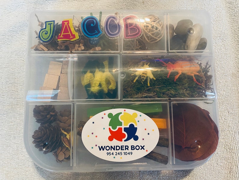 Insects Theme Sensory Box/bugs Buzzy Box/ Natural Explore Sensory Box ...