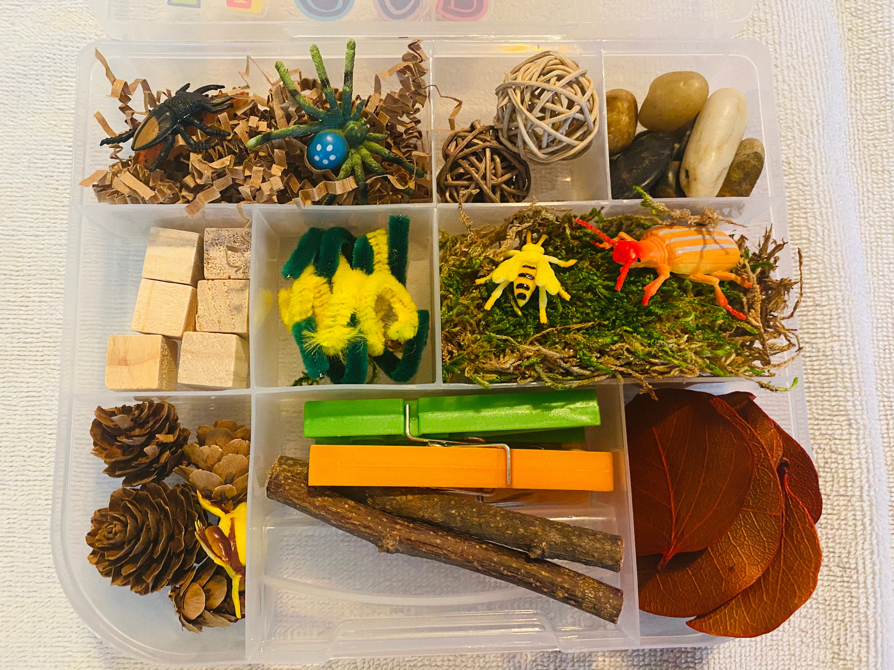 Insects Theme Sensory Box/bugs Buzzy Box/ Natural Explore Sensory Box/bugs Loose Parts ...